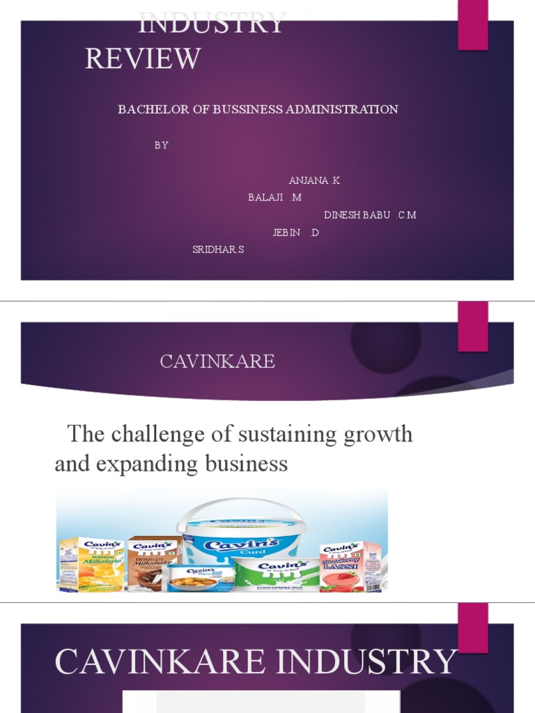 Industry Review | PDF | Economies