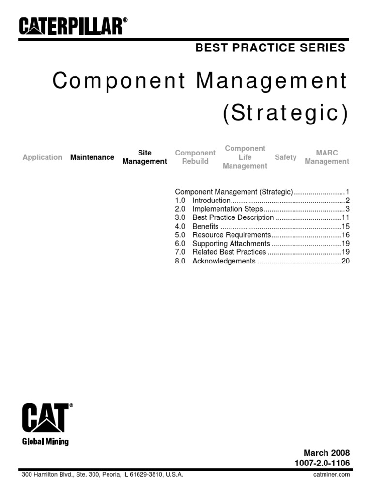 Component Management Strategic | PDF | Information | Performance Indicator