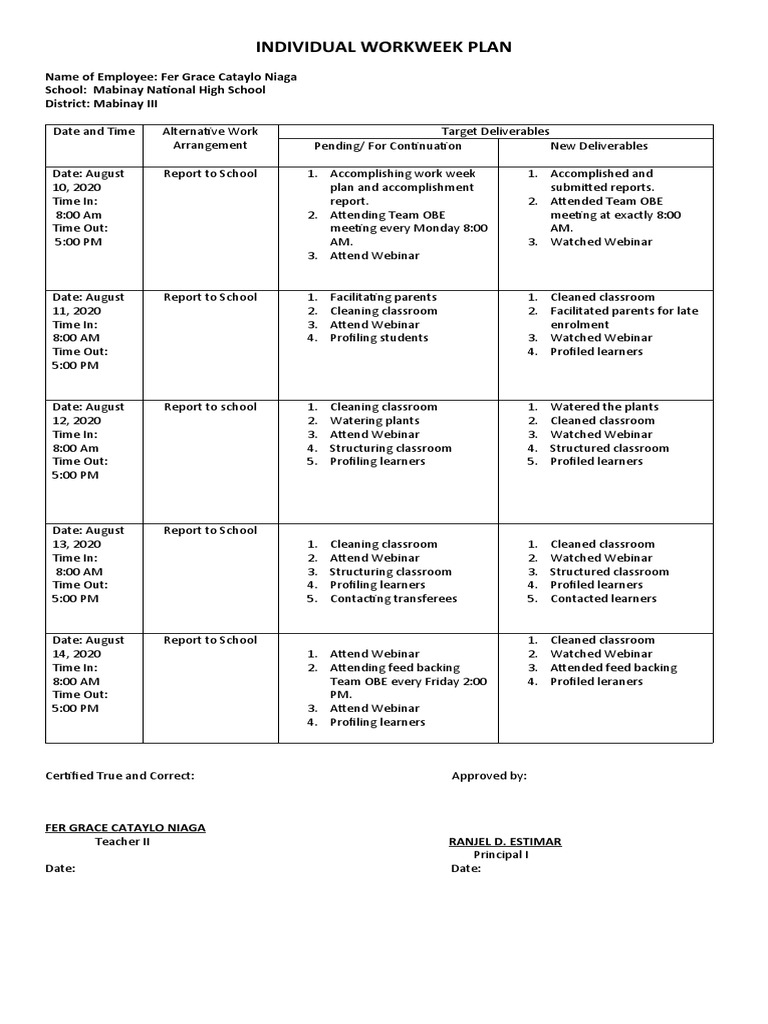 Individual Workweek Plan for Teacher | PDF | Classroom | Learning