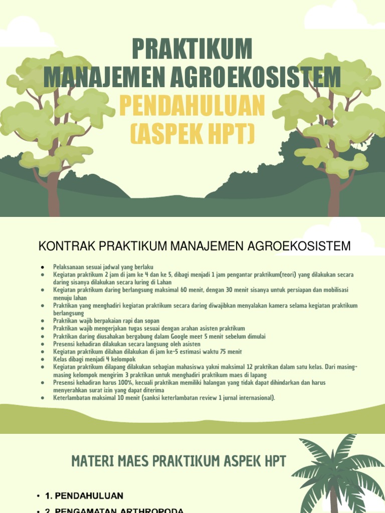Maes HPT | PDF
