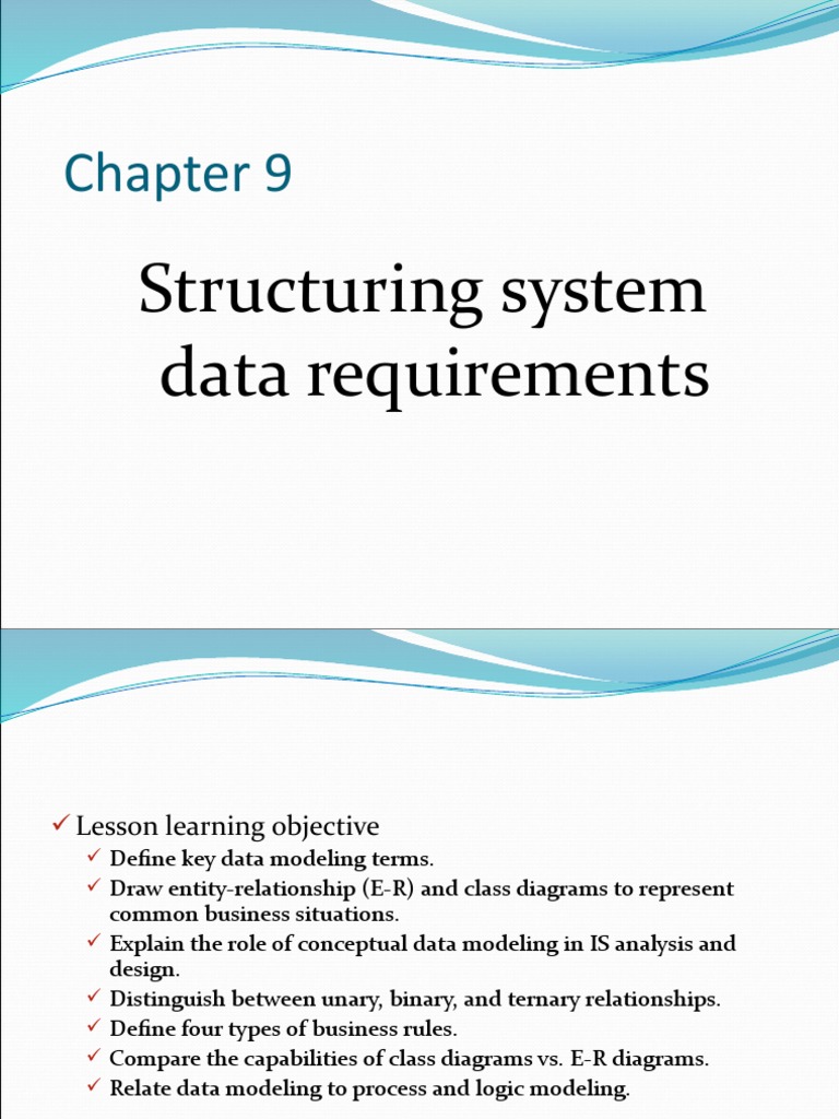 Structuring System Data Requirements | PDF | Data Model | Class (Computer Programming)