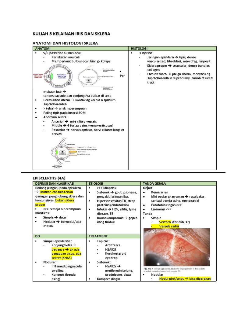 Kuliah 5 Kelainan Iris Dan Sklera | PDF