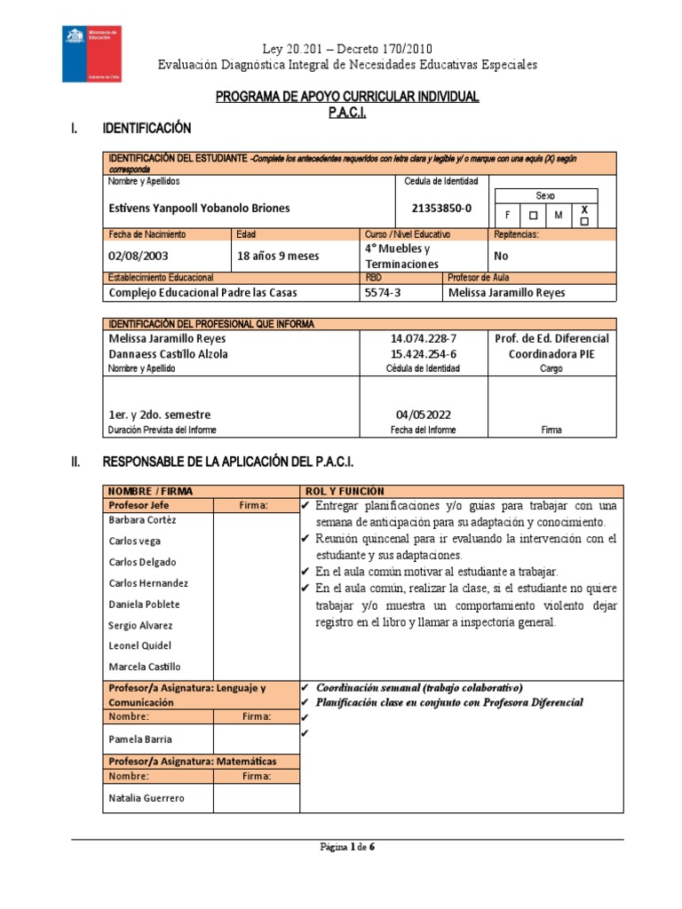 PACI-Formato MINISTERIO | PDF | Evaluación | Aprendizaje