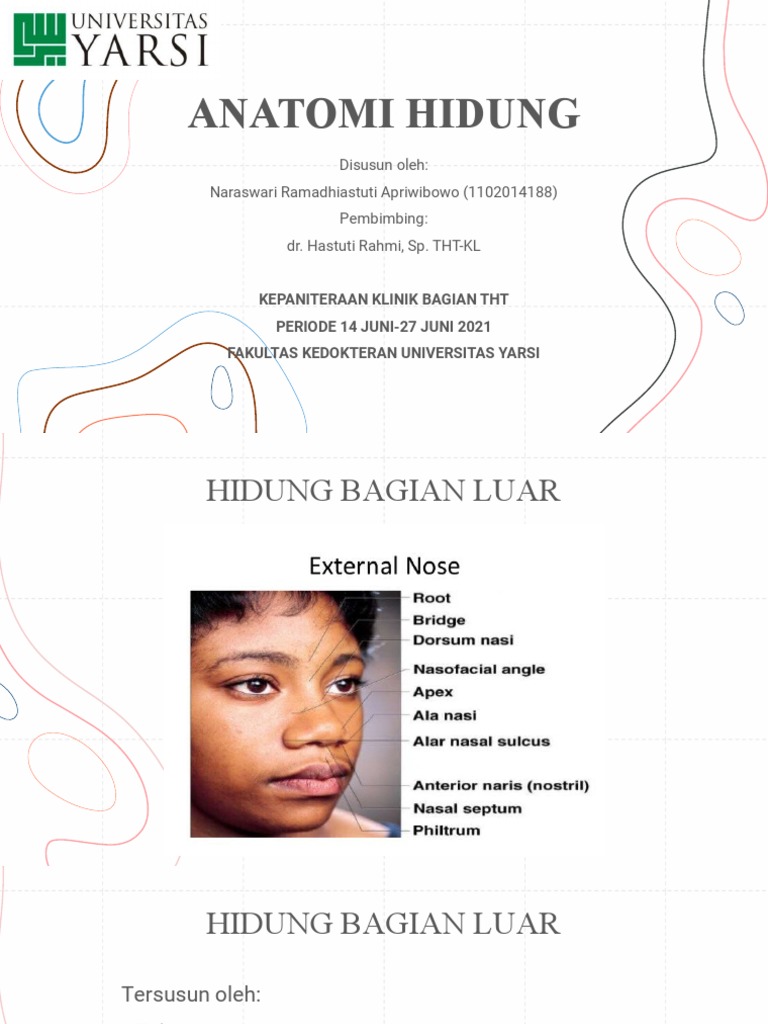 Anatomi Hidung | PDF