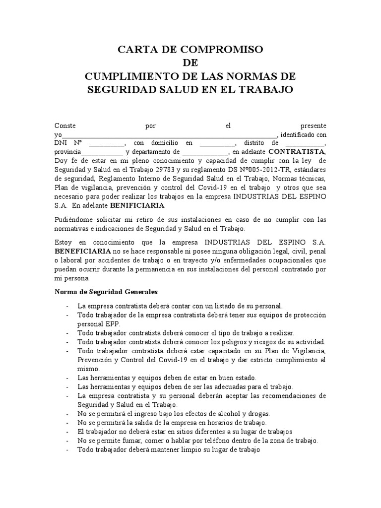 Compromiso de Cumplimiento de Normas de Seguridad | PDF | Finanzas y dinero