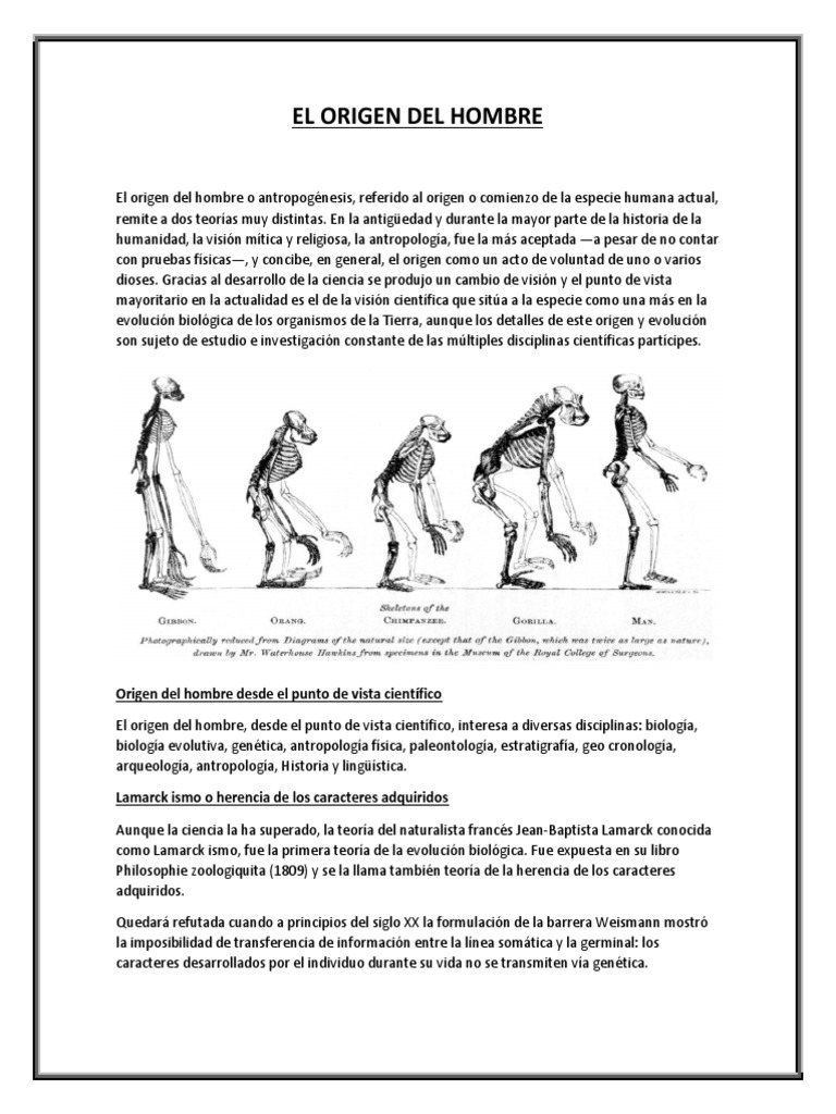 El Origen Del Hombre | PDF | Evolución | Teorías biológicas