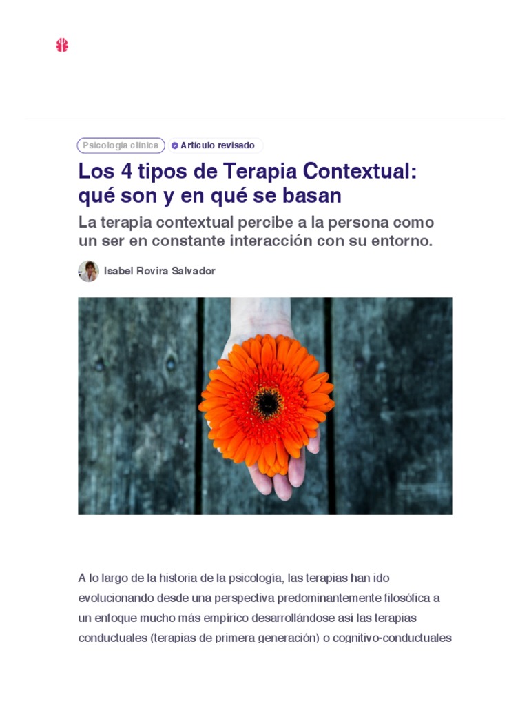 Los 4 Tipos de Terapia Contextual - Qué Son y en Qué Se Basan | PDF ...