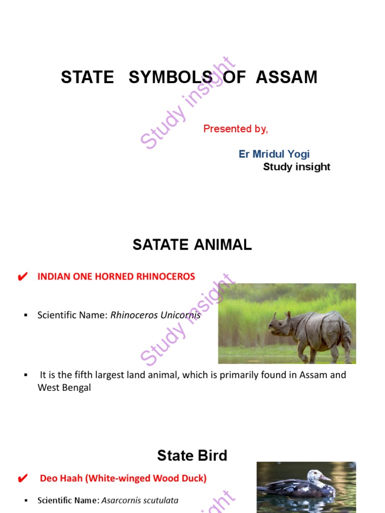 STATE SYMBOLS OF ASSAM PDF Study Insight | PDF