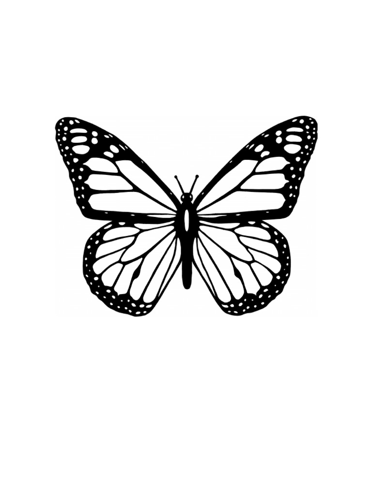 Monarch Coloring Pages | PDF