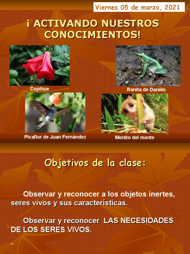 Seres Vivos y Objetos Inertes en Chile | PDF | Chile | Mamíferos