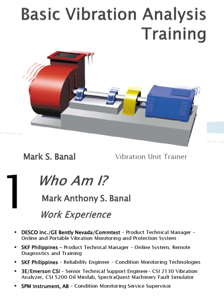 Basic Vibration Analysis Training-1 | PDF | Bearing (Mechanical) | Frequency