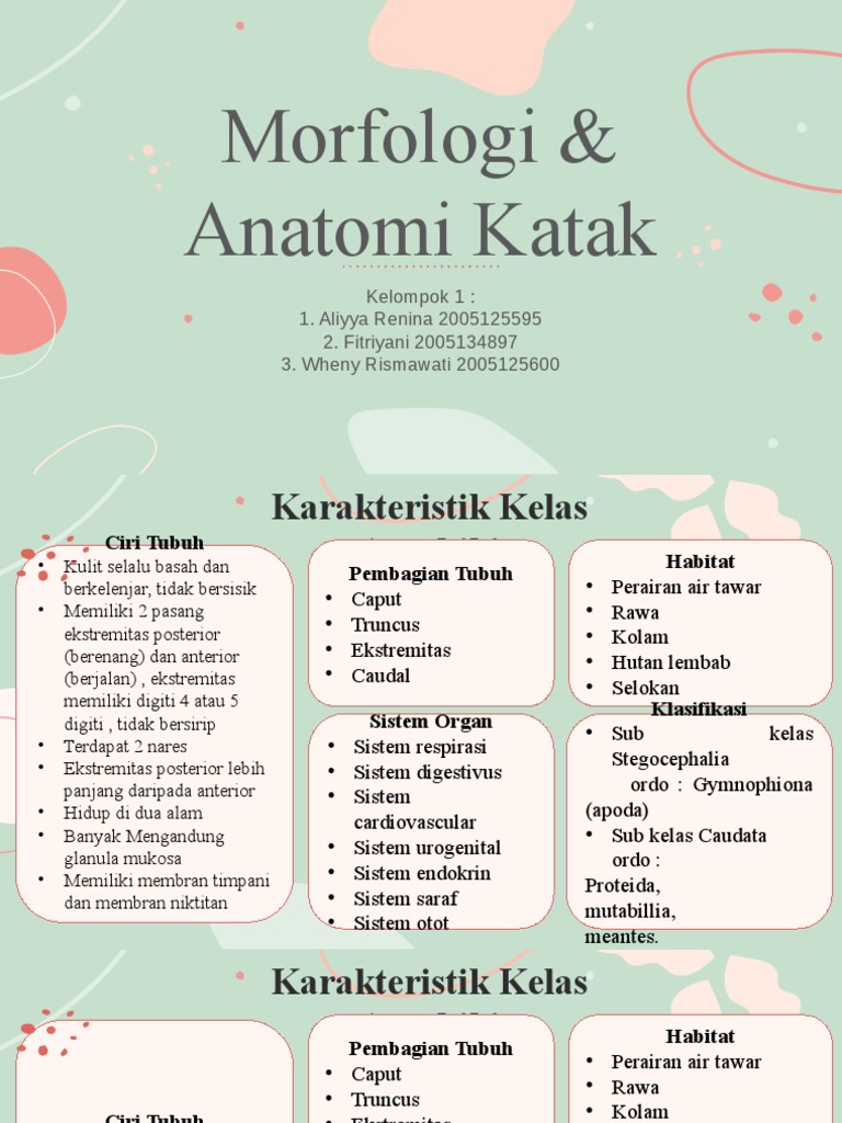 Kelompok 1 Morfologi & Anatomi Katak (2) - 1 | PDF