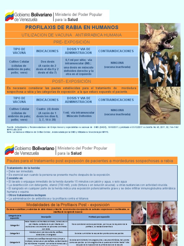 Profilaxis de Rabia en Humanos | PDF | Rabia | Ciencias de la Salud