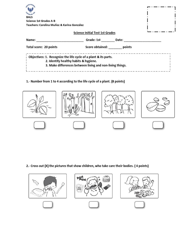 Science Initial Test 1st Grades | PDF