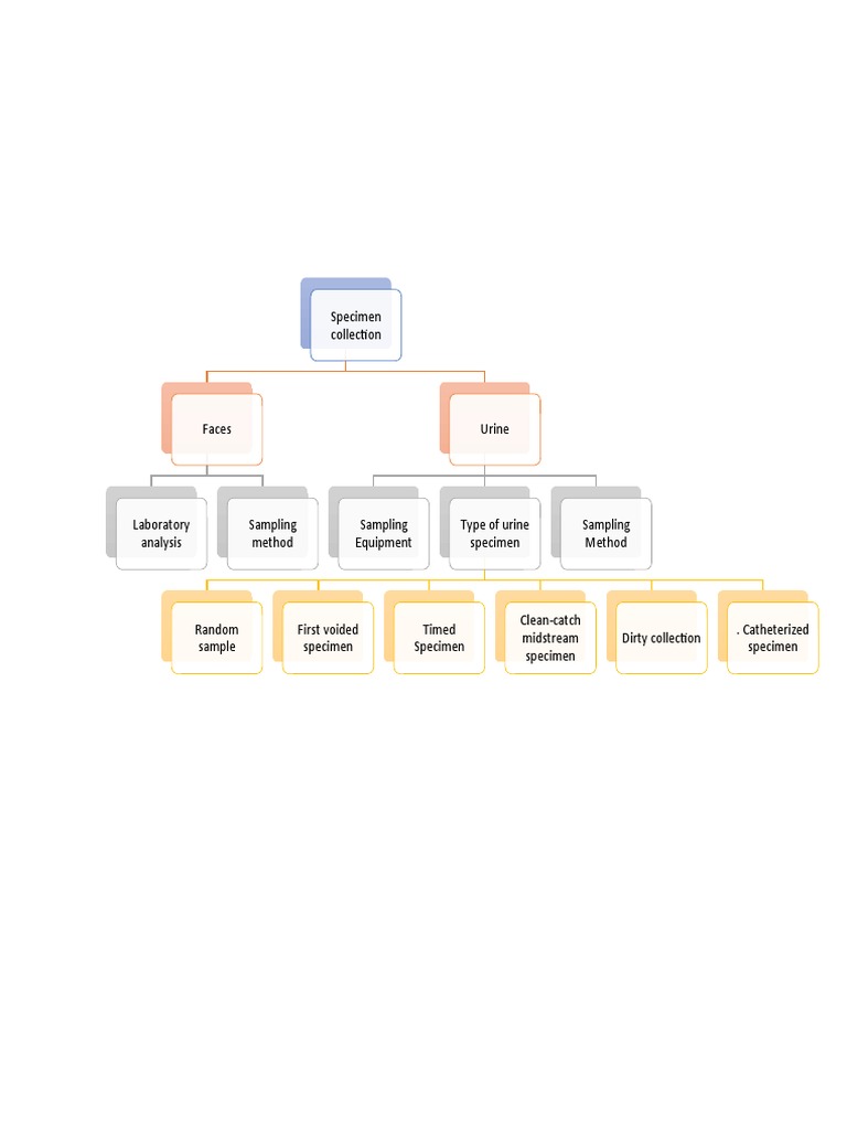Mind Map Stool and Urine | PDF