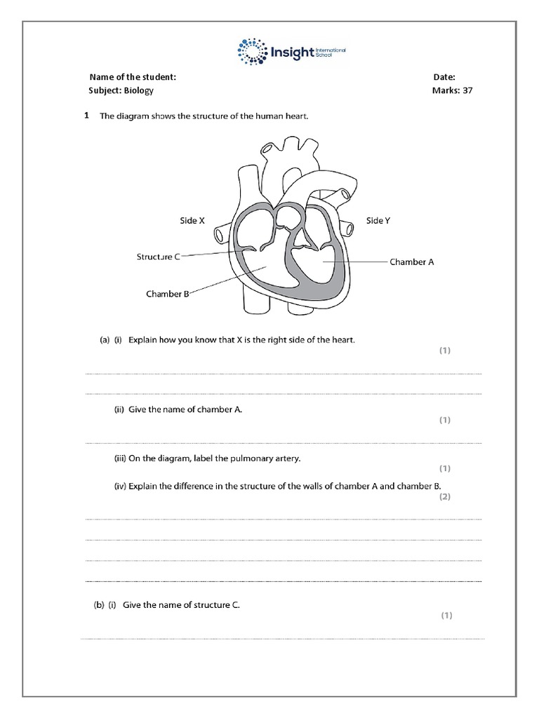 Circulatory System Test 1 | PDF