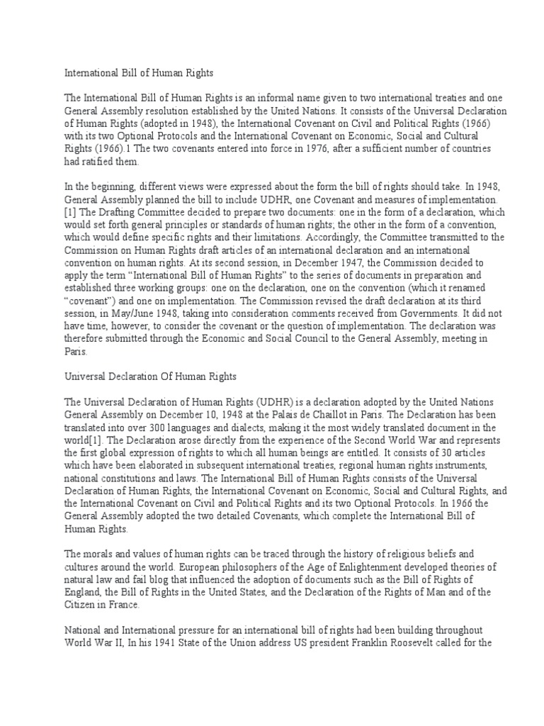 International Bill of Human Rights Overview | PDF | Human Rights | Treaty