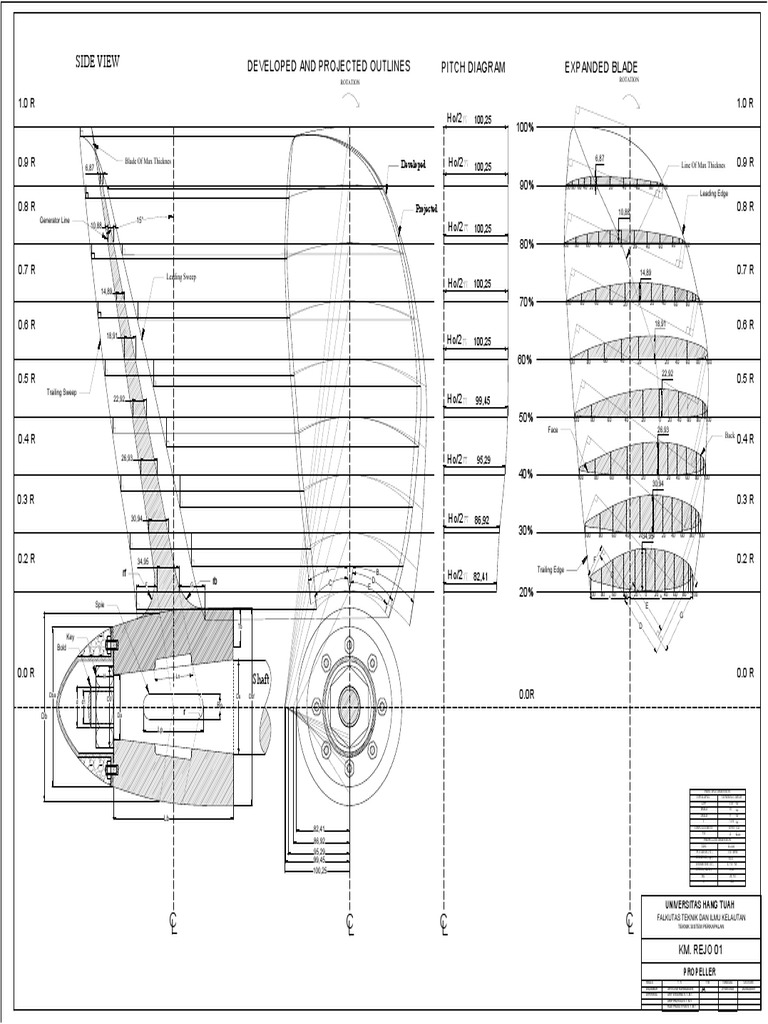 Side View: Pitch Diagram Expanded Blade Developed and Projected ...