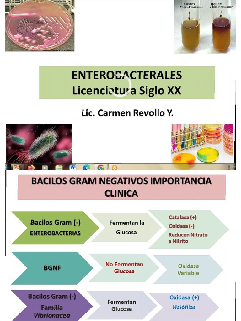 Enterobacterales | PDF