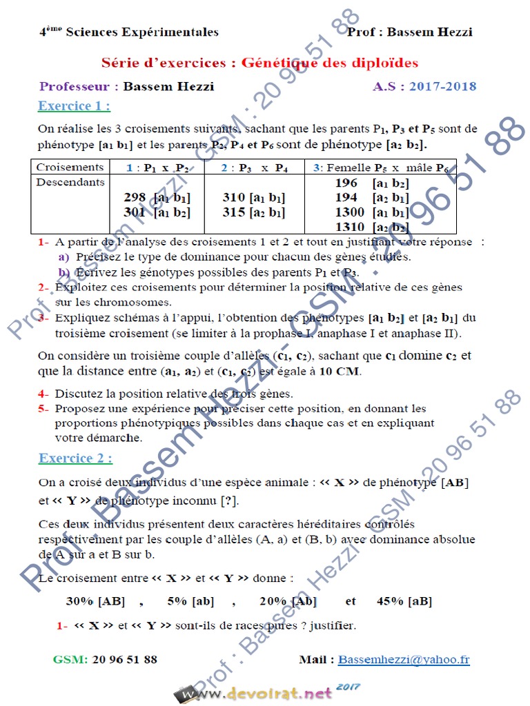 Génétique Diploïde Bac Science Corrigé | PDF