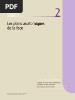 Anatomie des Muscles de la Face | PDF | Lèvre | Anatomie