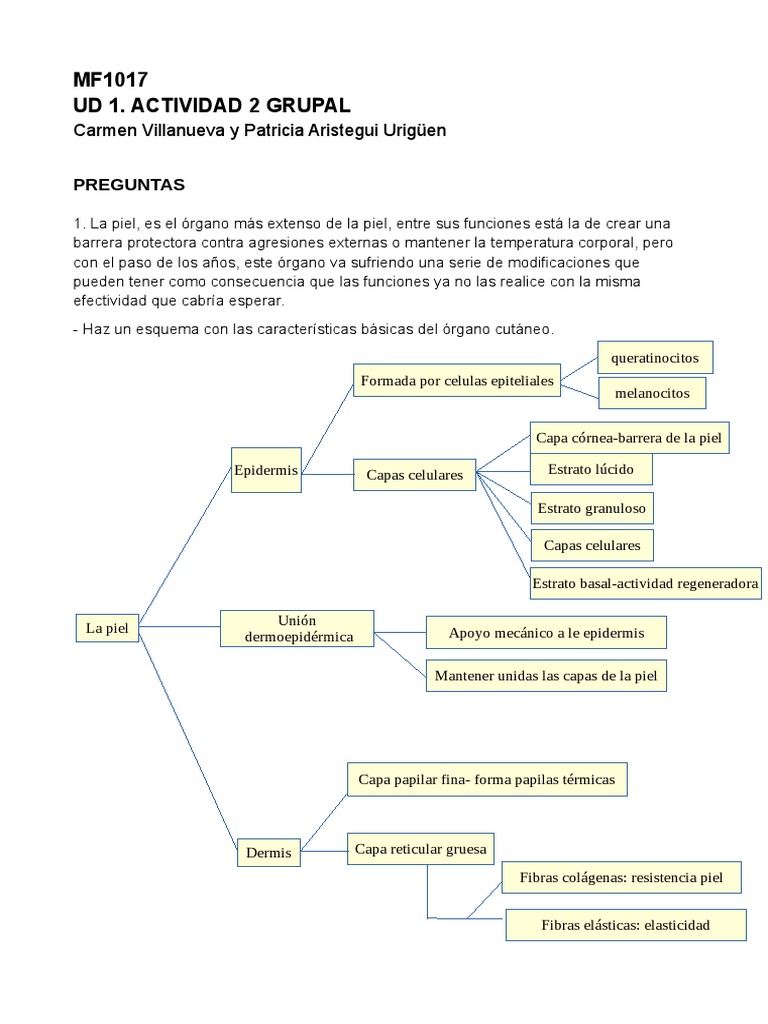 Actividad 2 Grupal | PDF | Herida | Piel