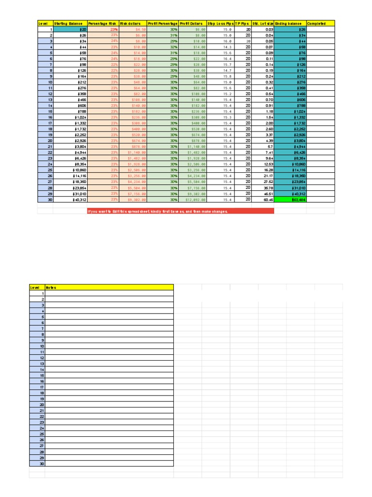 20 Pip Challange | PDF | Financial Services | Investing