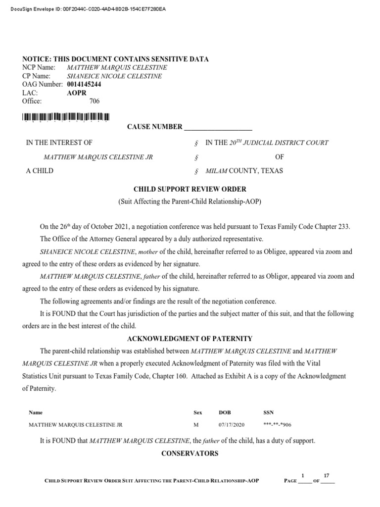 Please Docusign: Proposed Order | PDF | Child Support | Insurance
