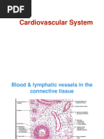 XenoSure - Brochure - M0236 Rev. T-1 | PDF | Surgical Suture | Heart
