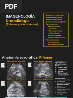 Protocolo Blue | PDF | Enfermedades y trastornos | Neumología
