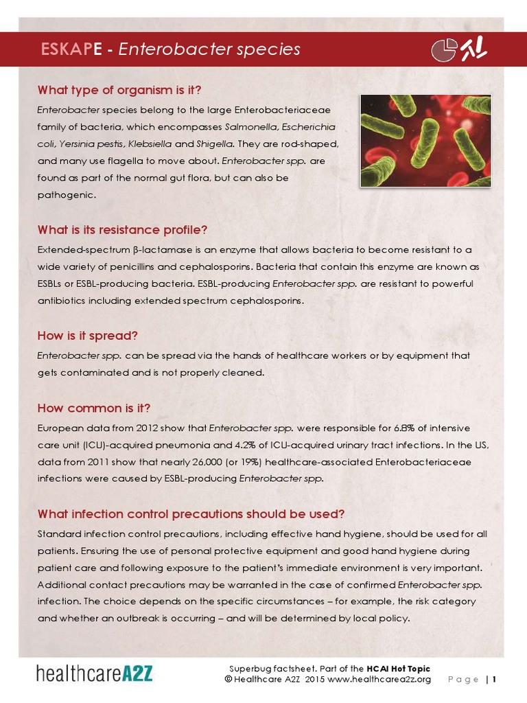 E - Enterobacter Species: Eskap | PDF | Beta Lactamase | Infection