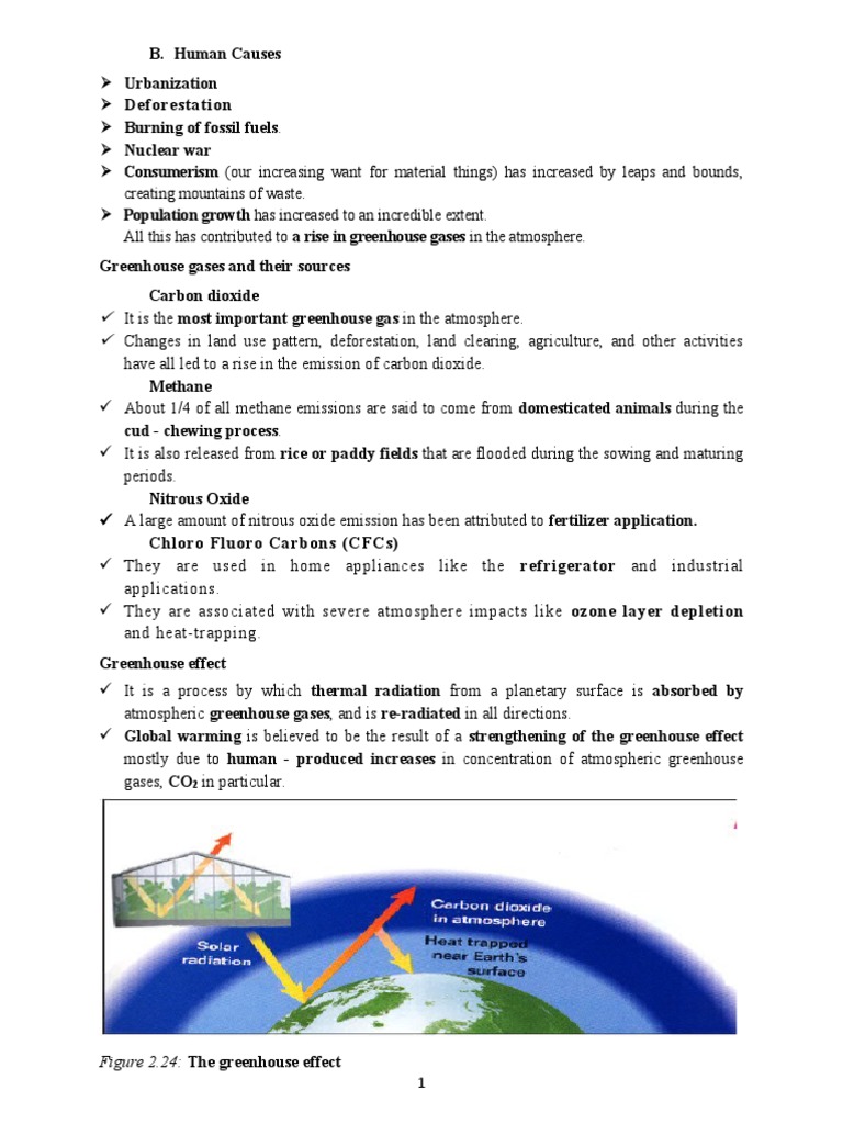 Human Causes of Climate Change | PDF | Greenhouse Gas | Climate Change