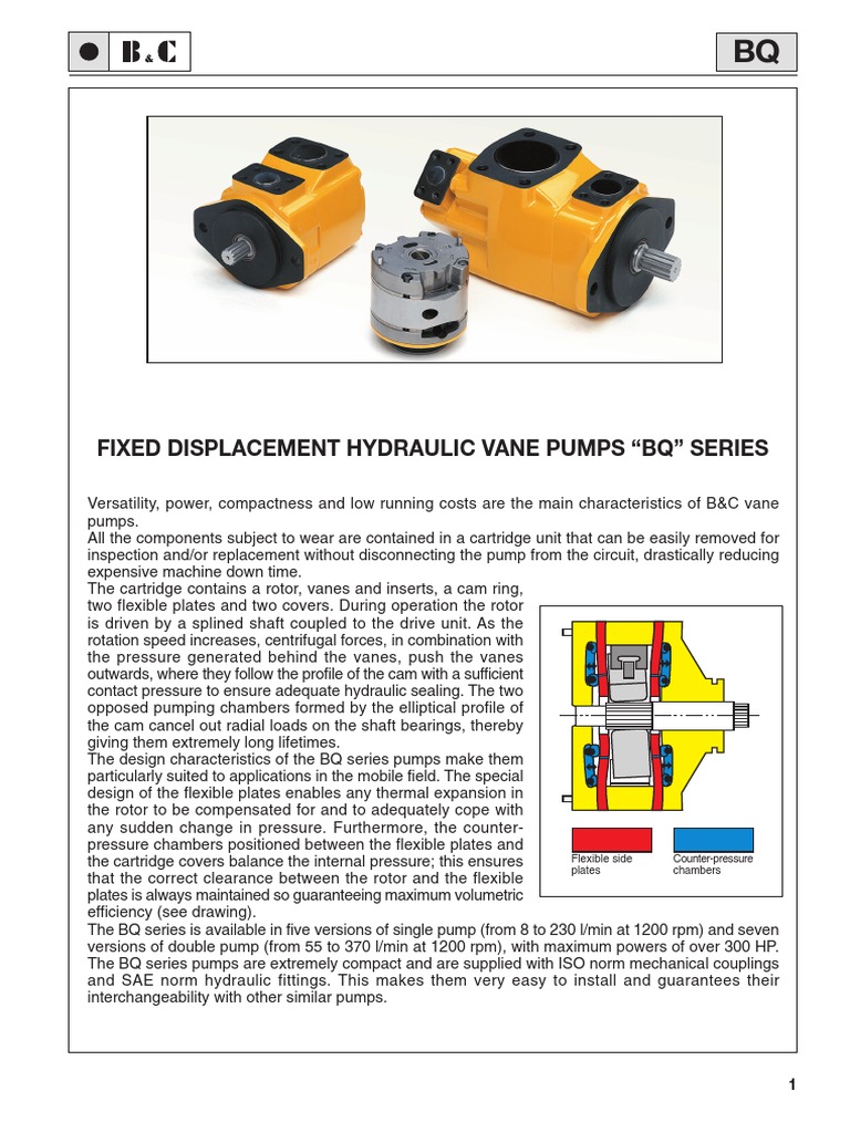 Byc Vane Pumps | PDF | Pump | Applied And Interdisciplinary Physics