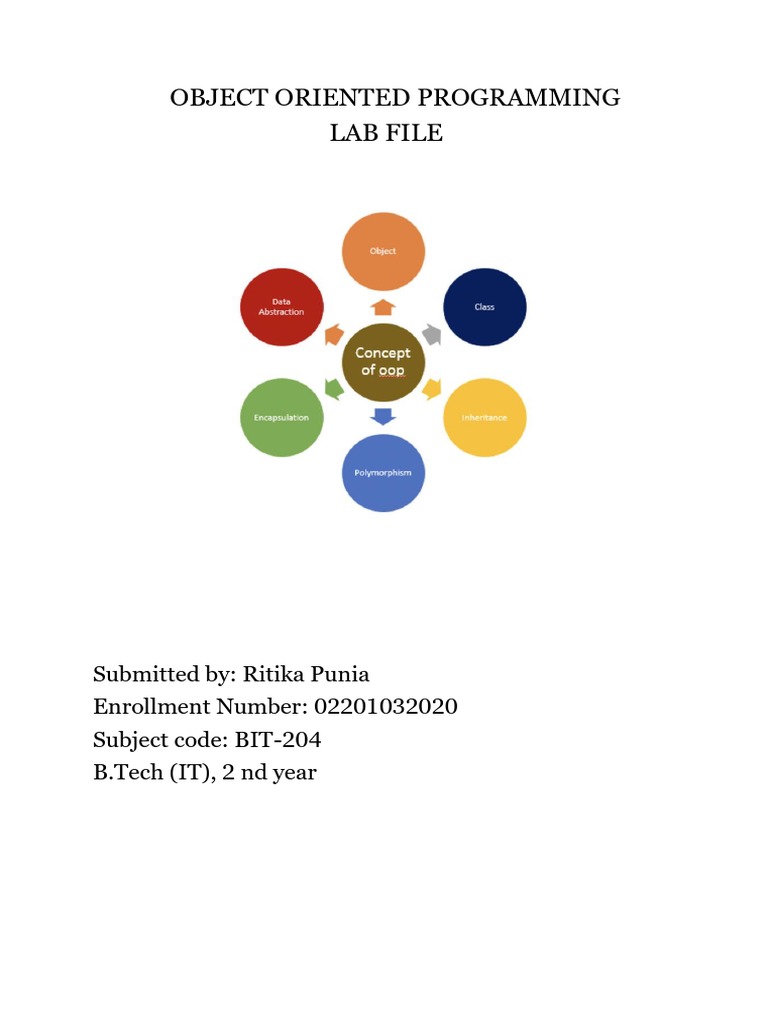 Object Oriented Programming Lab File | PDF | C++ | Inheritance (Object Oriented Programming)