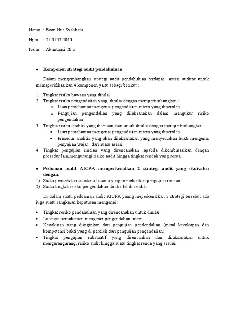 Strategi Audit Pendahuluan untuk Auditor | PDF