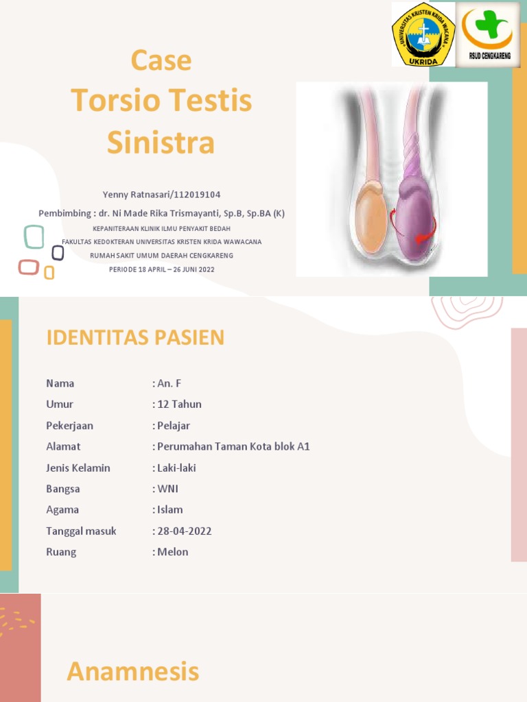 Torsio Testis | PDF