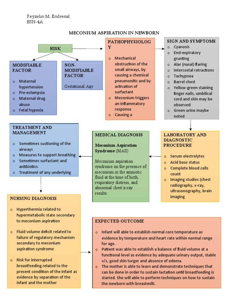 Endrenal Reyzelin M.-Concept Map & NCP | PDF | Breastfeeding | Breast Milk