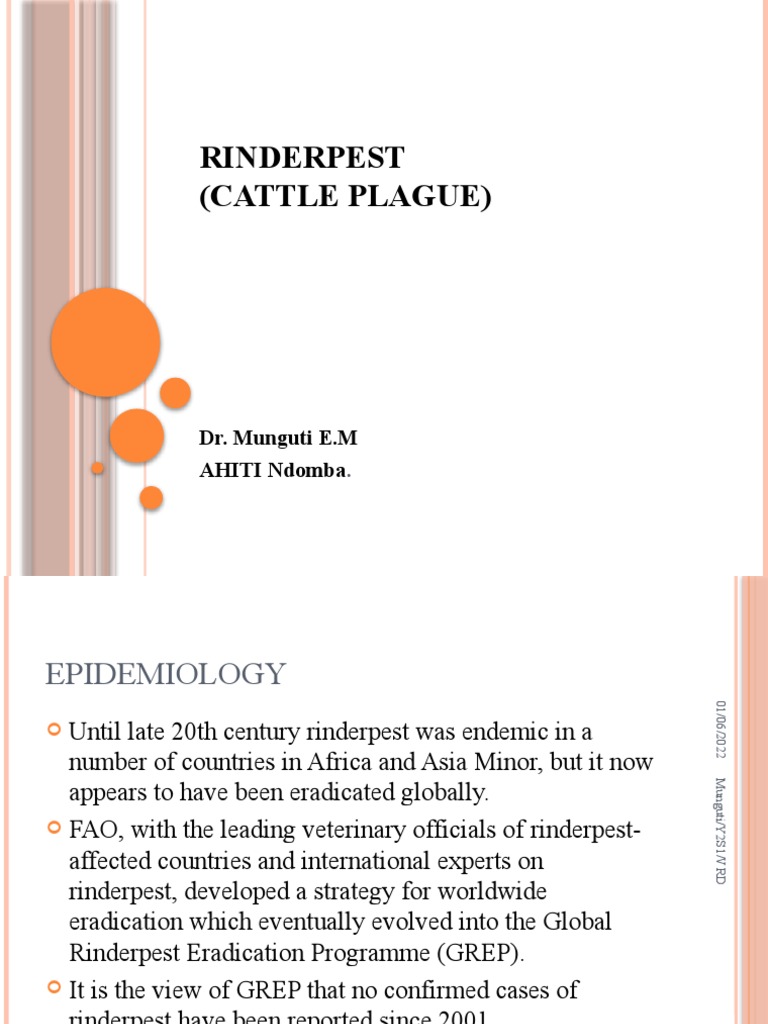 Rinderpest Cattle Plague Dr Munguti Em Ahiti Ndomba Pdf Microbiology Veterinary Medicine