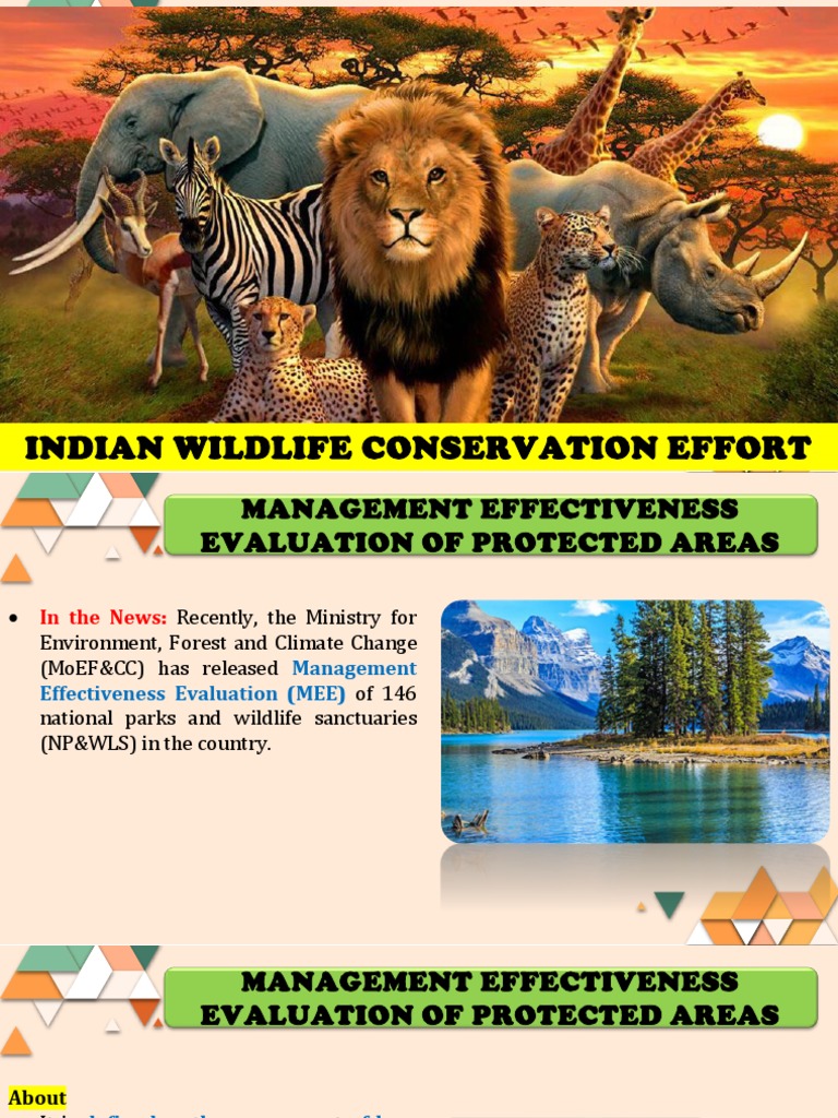 Indian Wildlife Conservation Effort | PDF | Cites | Plants