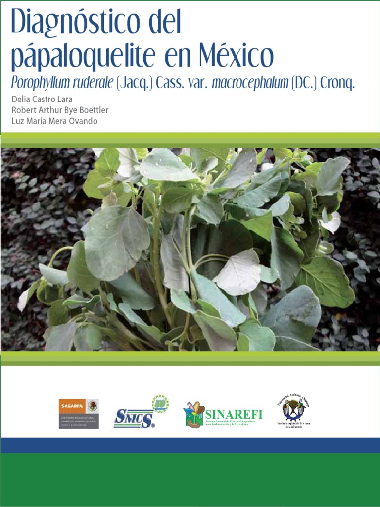 Diagnostico Del Papaloquelite en Mexico | PDF | Agricultura | México