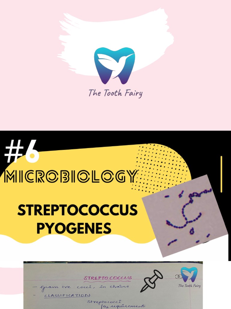 Streptococcus Pyogenes | PDF