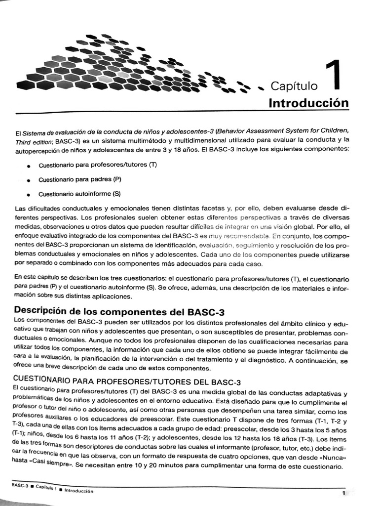 Manual BASC3 - Capitulo 1 | PDF