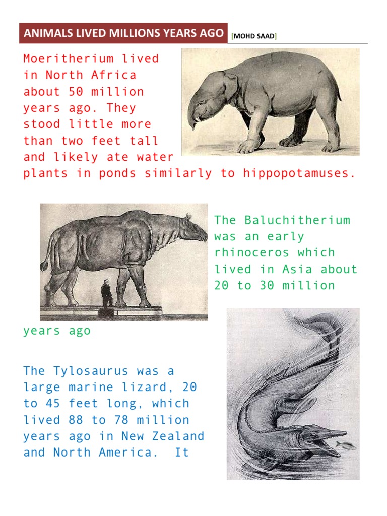 Animals Lived Millions Years Ago | PDF | Social Science | History