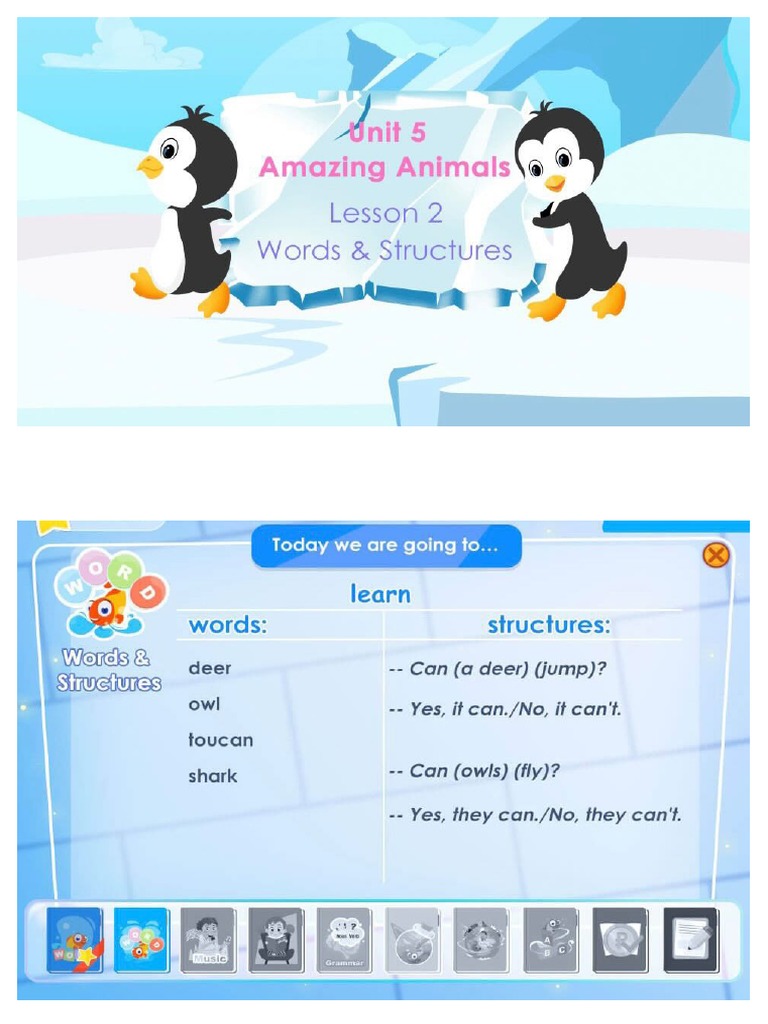 AMAZING ANIMALS (Lesson 2) | PDF