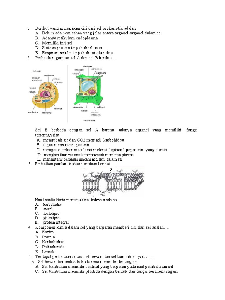 Contoh PTS SMT 1 | PDF