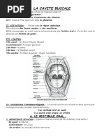 Anatomie des Muscles de la Face | PDF | Lèvre | Anatomie