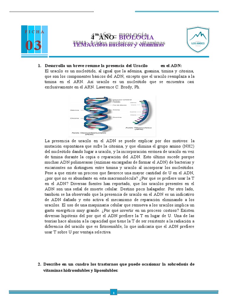 Ficha 03 - Biologia Tarea | PDF | Adn | Vitamina