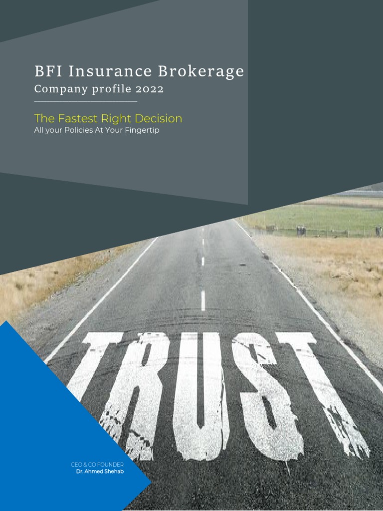 BFI Company Prfile May 22 V3.0 | PDF | Insurance | Market (Economics)
