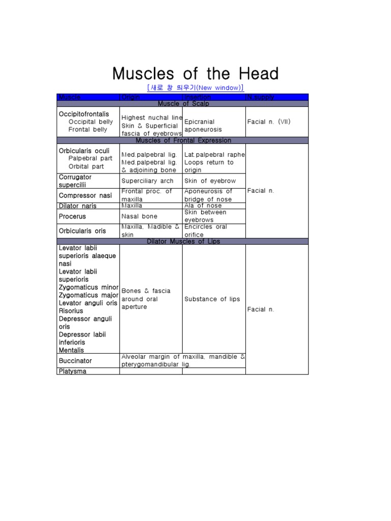 Muscles of the Head, Neck, Trunk, and Upper Limb | PDF | Thumb | Limbs ...