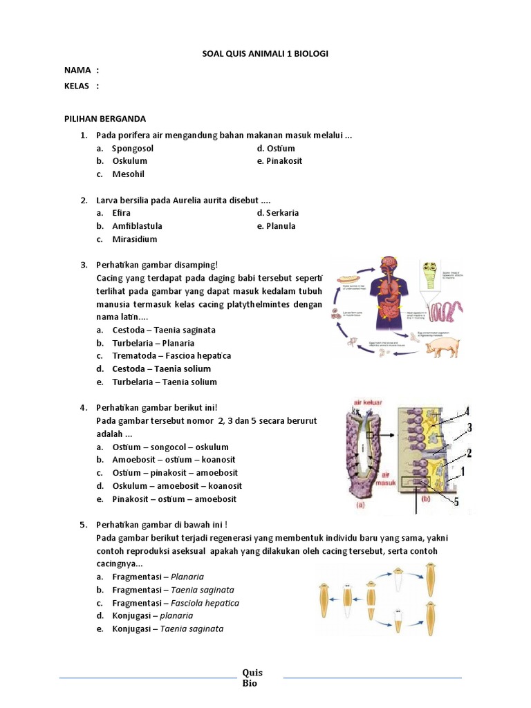 Soal Quis Biologi Hewan Porifera dan Platyhelminthes | PDF | Kajian ...